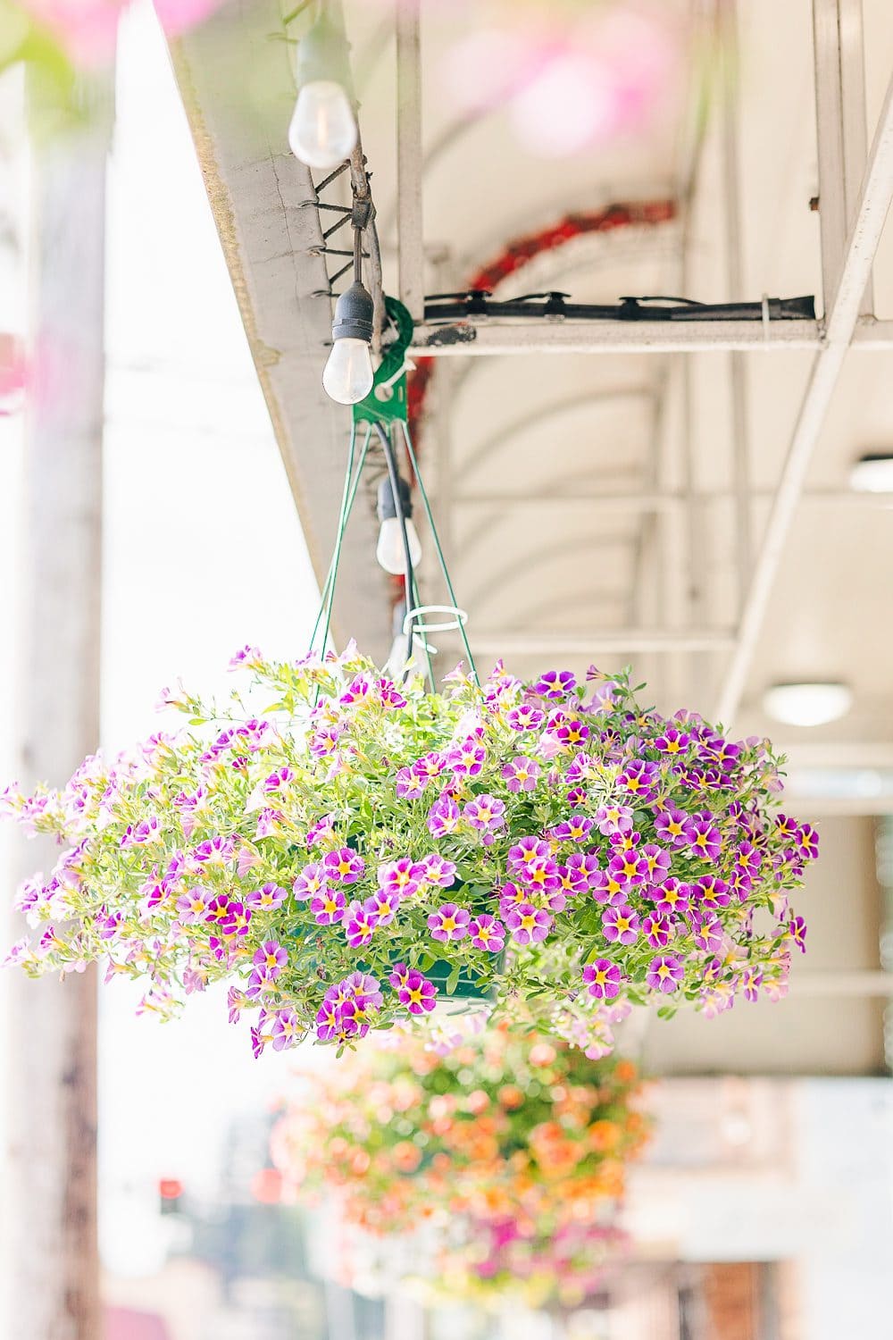 Song River Monroe Wedding | Monroe, WA
